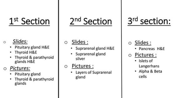 Jil Sander Presentation | PPT