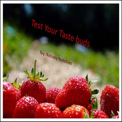 Test your taste buds | PPT