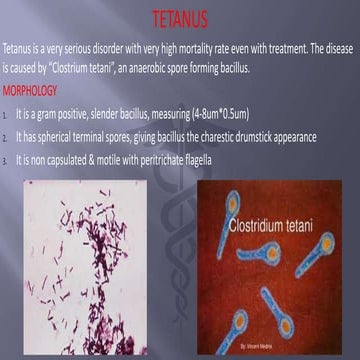 Tetanus | PPT