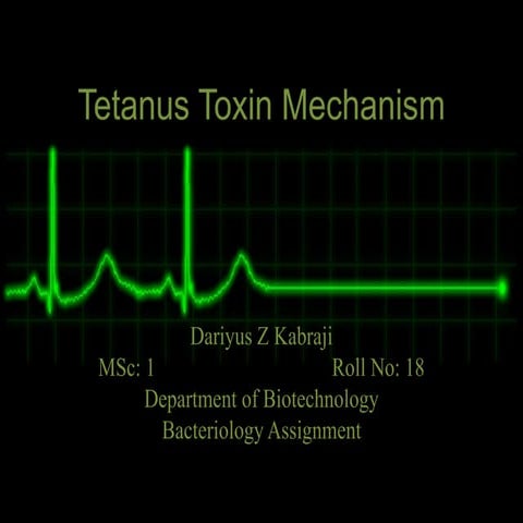 Tetanus toxin mechanism | PPTX