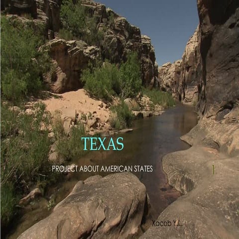 Texas | PDF