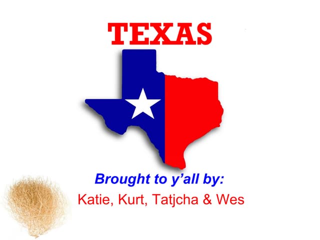 Texas | PDF