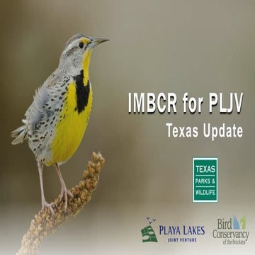 IMBCR for PLJV (Update Slides) | PPT