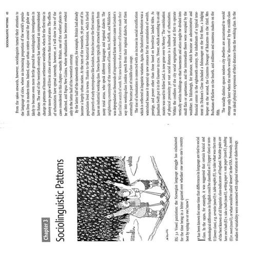 Sociolinguistic Patterns | PDF