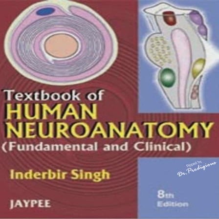 Textbook of human neuroanatomy- | PDF
