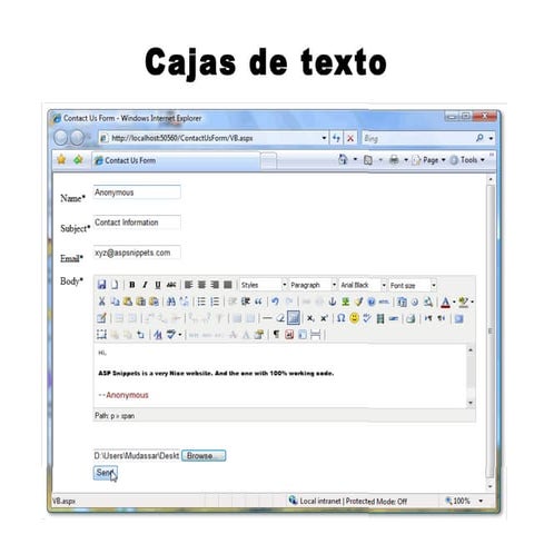 Cajas de texto | ODP