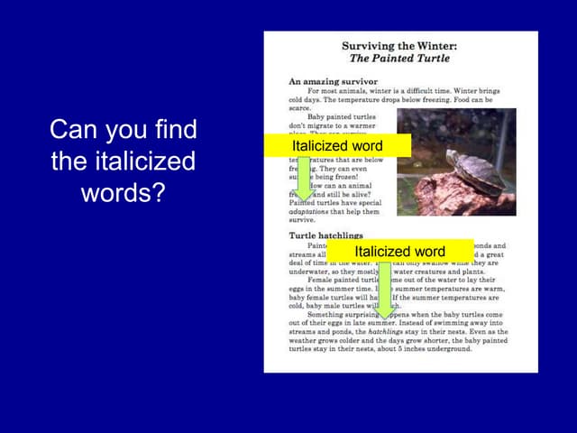 Nonfiction Text Features Slideshow | PDF