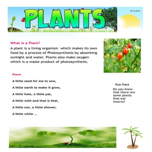 Text media plants | PDF