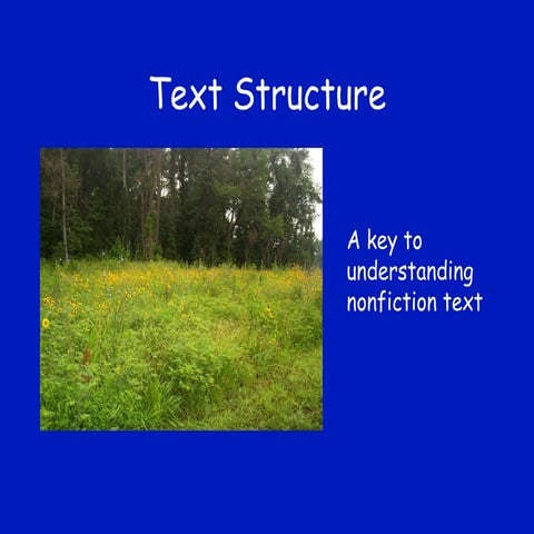 Text structure ppt