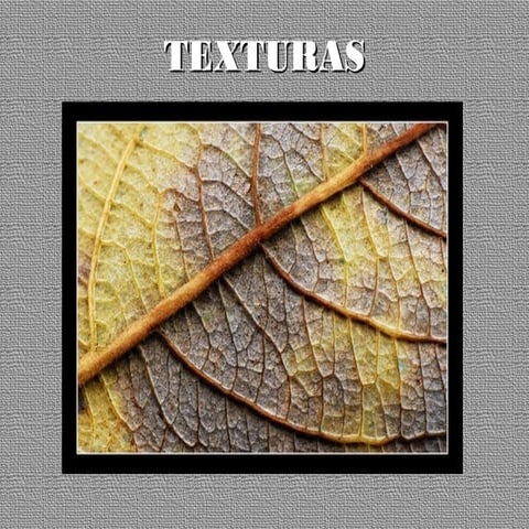 Clasificación de texturas : táctiles y visuales | PDF