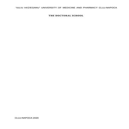 Teza marius emil_rusu | PDF