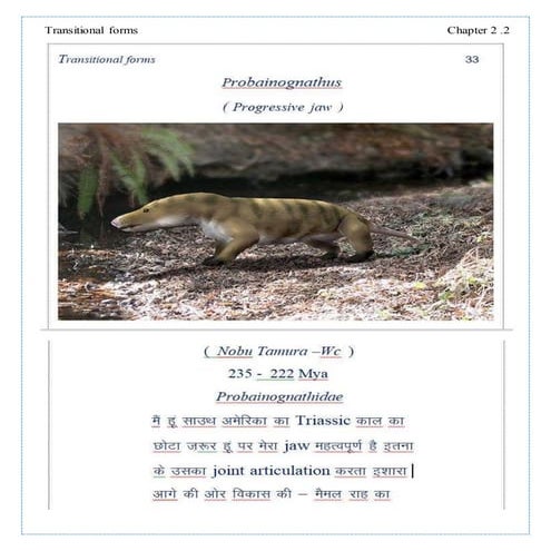 Transitional forms-chapter 2 .2 -mammal ancestors - probainognathus ...