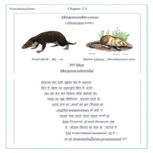 Transitional forms chapter 2.3 mammal ancestors morganucodon to ...