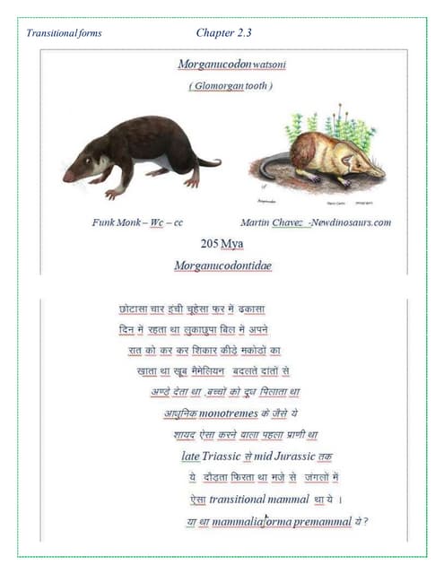 Transitional forms-chapter 2 .2 -mammal ancestors - probainognathus ...
