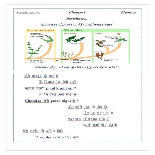 Transitional forms chapter 8 plants bryophytes - gymnosperms 90-94 ...