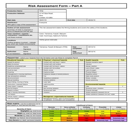 Tfm risk assessment! | DOCX