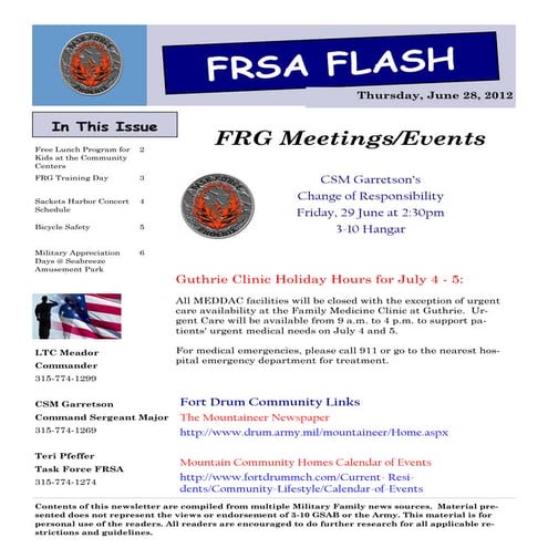 Task Force Phoenix FRSA Flash | PDF