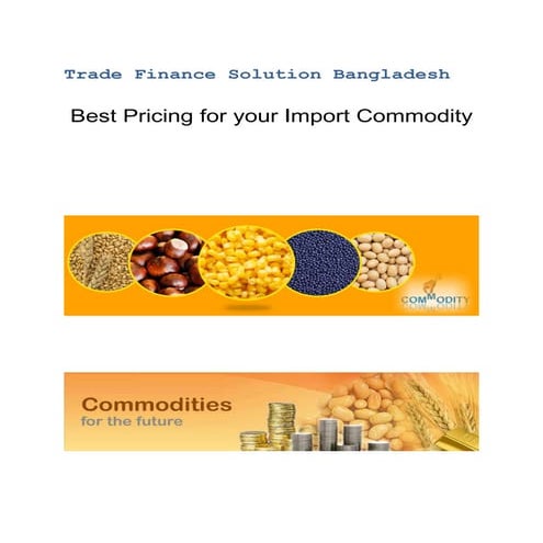 Import Finance | PDF