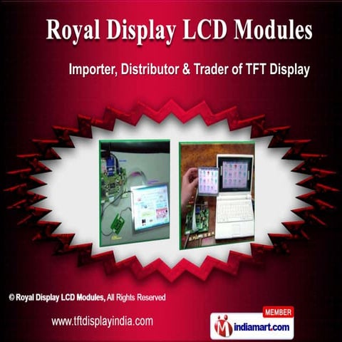TFT Displays by Royal Display LCD Modules, Mumbai | PPSX