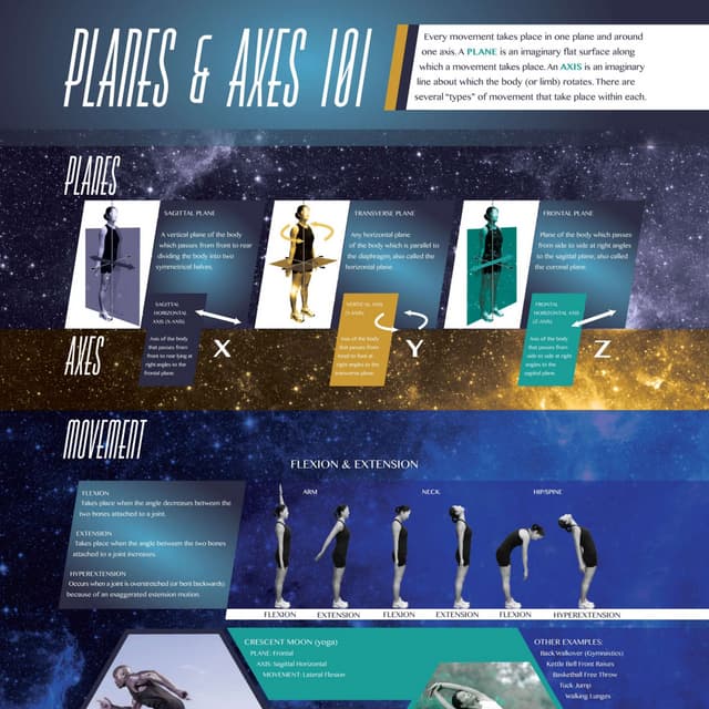 Anatomical terminology | PPT