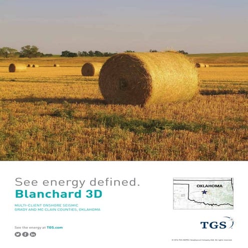 TGS NSA- Onshore Blanchard 3D | PDF