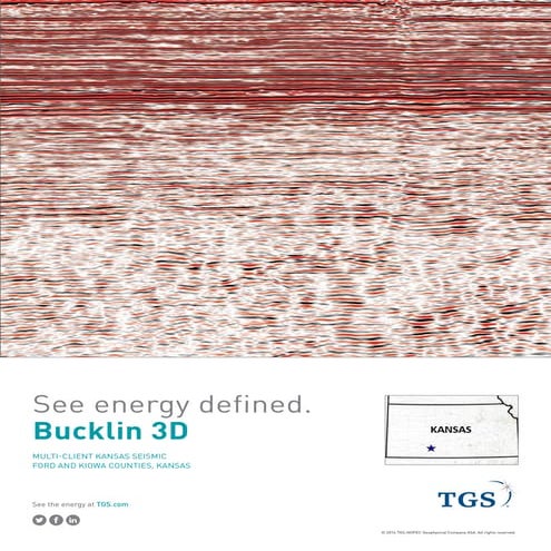 TGS NSA- Onshore Bucklin 3D | PDF