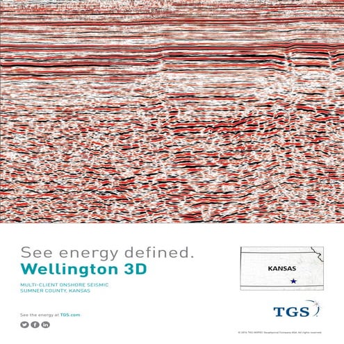 TGS NSA- Onshore Bucklin 3D | PDF