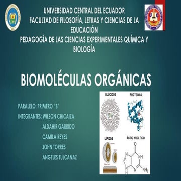 Biomoléculas orgánicas (carbohidratos, lípidos, proteínas, ácidos ...