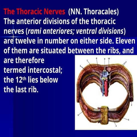 4. cardiac markers.pptfhvxdhajdgrheygyudgyg | PPT