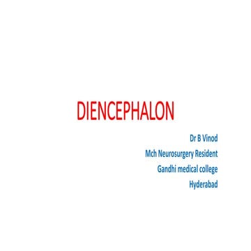 THALAMUS ANATOMY.pptx