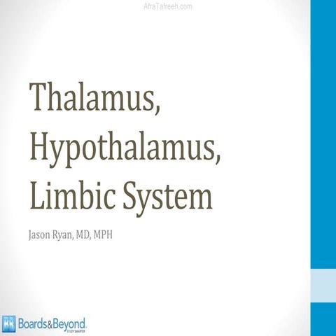 Thalamus, Hypothalamus, Limbic System atf.pdf