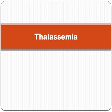 NERVOUS SYSTEM PowerPoint Presentation grade 10 | PPTX