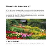 Thang 3 nen trong hoa gi.pdf