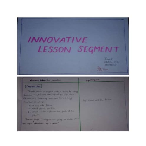 innovative lesson segment | PDF