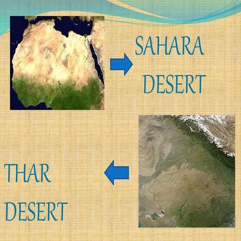 Thar and sahara | PPTX