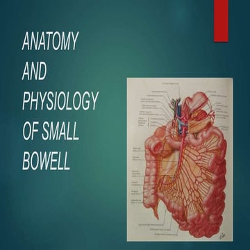 anatomy and physiology of small intestine | PPTX