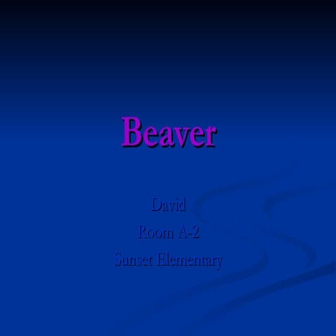 Beavers | PPT