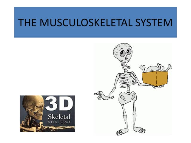 Skeletal system science 6 | PPTX