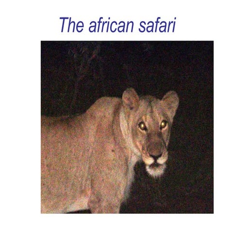 The African Safari | PPT