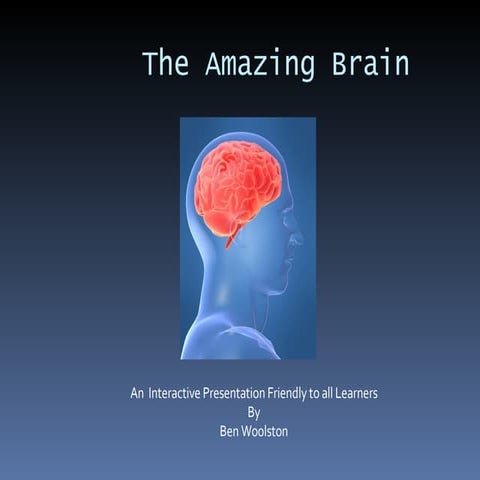 The Amazing Brain | PPT