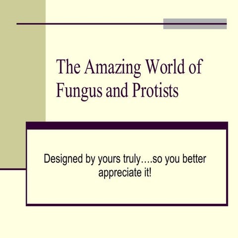 The Amazing World Of Fungus And Protists | PPT