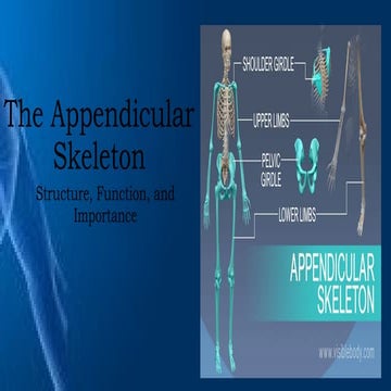 The-Appendicular-Skeleton of Human Body-1-2.pptx
