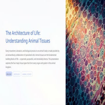 The Architecture of Life: Exploring the Four Fundamental Animal Tissue ...