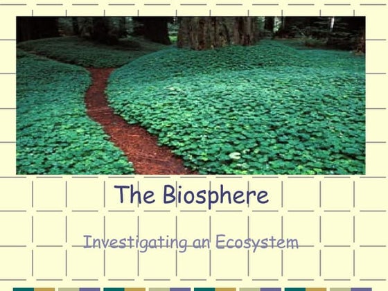 biodiversity-and-ecosystem-stability.ppt