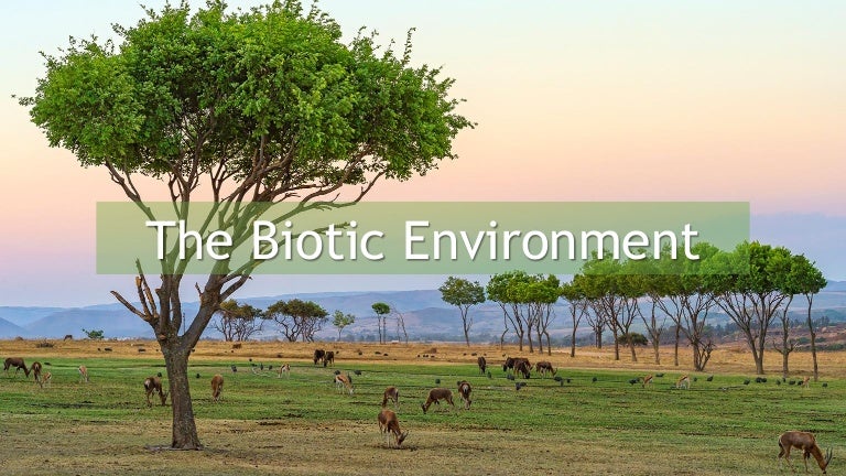 The Biotic Environment - Ecology