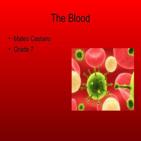 The Blood | PPT