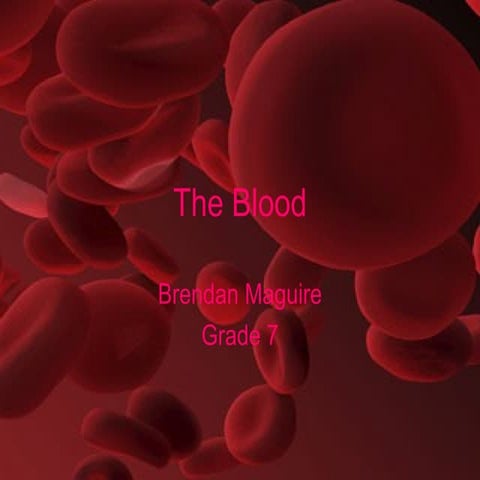 The Blood | PPT