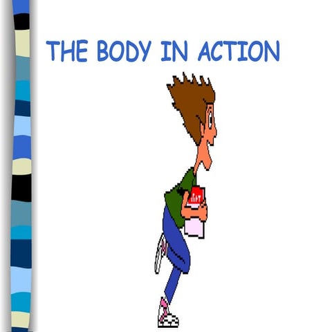 The Body In Action | PPT
