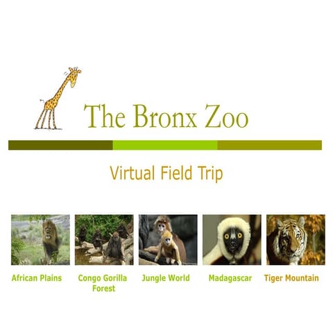 The Bronx Zoo | PPT