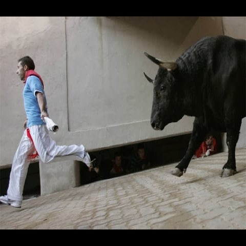 The Bull | PPS